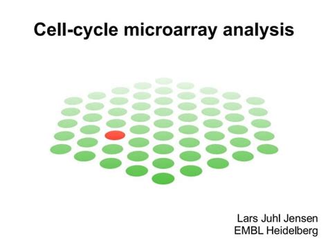Computational Approaches To Cell Cycle Analysis Cell Cycle Microarray