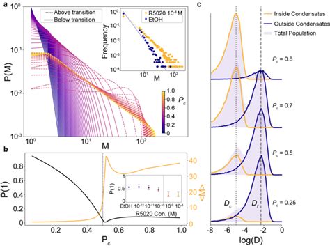 Validation Of The Theoretical Model To Experimental Single Molecule