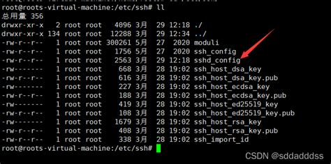 解决xshell无法直接通过root账户远程连接linux uos xshell 远程 csdn博客