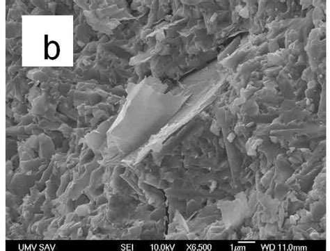 B Type Of Used Gpls Gpl 2 Exfol Graphene Nanoplatelets Xgnp M 5
