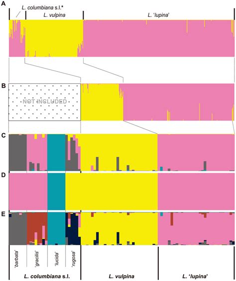 Results From Bayesian Clustering Analyses Of Letharia Samples Under A Download Scientific