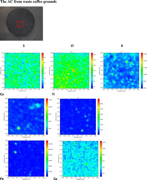 The Synchrotron Micro X Ray Fluorescence µ Xrf Element Mapping Of A Download Scientific