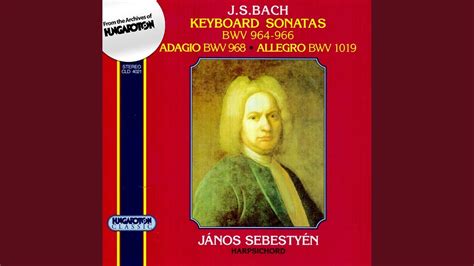 Sonata In A Minor Bwv 965 Vi Sarabande Youtube