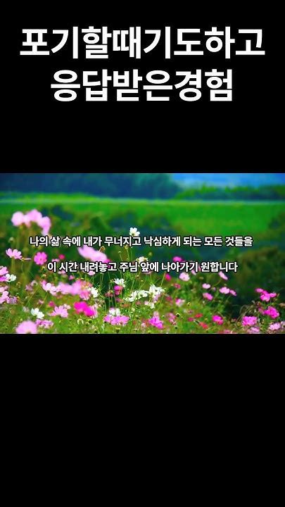 포기하고싶을때 기도했더니 응답받았던 기도문 입니다 이해할수 없을때 기도문을 듣기만해도 능력이 나타나요 따라하는기도 말씀낭독 날기새 대표기도 풍성한교회 매일기도