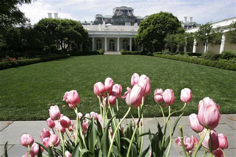 Plants Not Politics The Stories Behind The White House Gardens Wtop News
