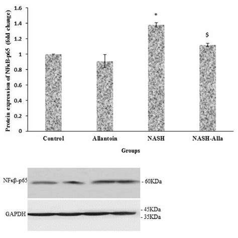 Protein Expression Of Nuclear Factor Kappa B Between The Groups Mean ± Download Scientific