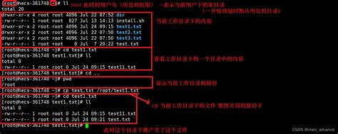 linux 基础指令（2） csdn博客