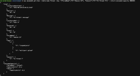 DynamoDB With AWS CLI Scan Get Item And Query DevelopersIO