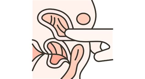 Prostate Pleasure A Guide To Prostate Stimulation And Better Orgasms