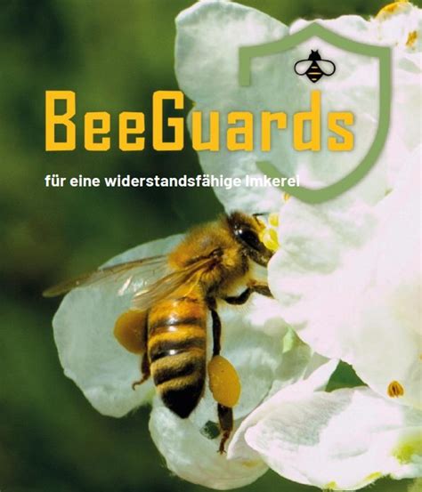 Downloads – BeeGuards.eu