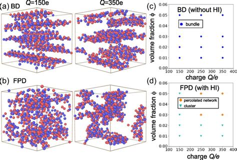 Hydrodynamic Properties Improve Brownian Dynamics Simulations