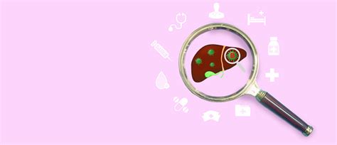 돋보기 초점 관리 검진 간 건강 치료 간암 암 기증 간 질병 기증 간염 간경변 B 형 간염 바이러스 Hbv 백신 보험 병원 세계 간염의 날 0명에 대한 스톡 사진 및 기타