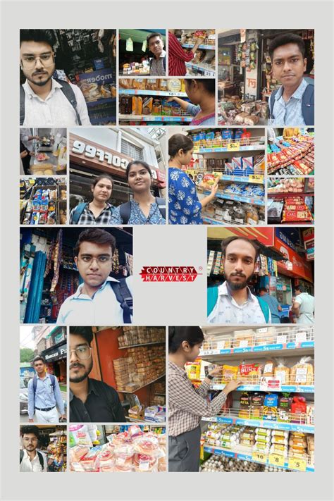 Fmcginternship Salesmarketing Interns2024 Aastha Jaiswal