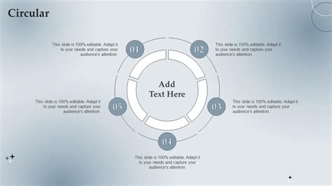 Circular Branding Guidelines Playbook Ppt Powerpoint Presentation File