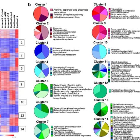 The Heatmap And Clustering Analysis For Metabolic Pathways A Heatmap