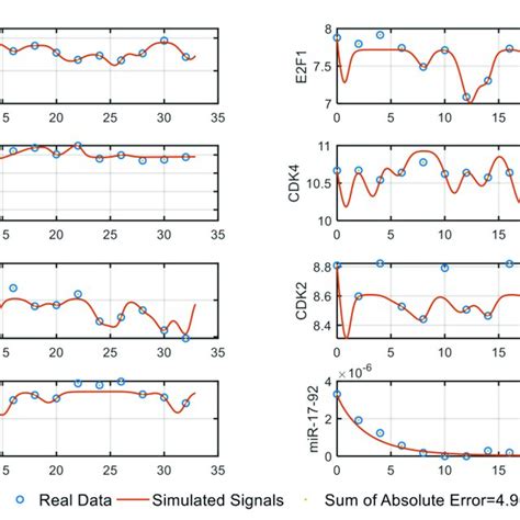 Modeled Gene Expression Signals For Hela Cell In Cell Cycle Real Data