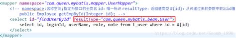 老司机学习mybatis之如何使用typealiases别名和alias注解mybatis Ttypealiases