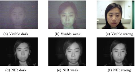 A To C Are Visible Images And D To F Are The Corresponding Nir Download Scientific