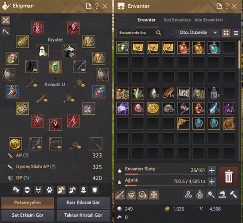 Black Desert Online Türkiye Mena Bölgesi Bdo Full Debo Set 1x Pen Deb