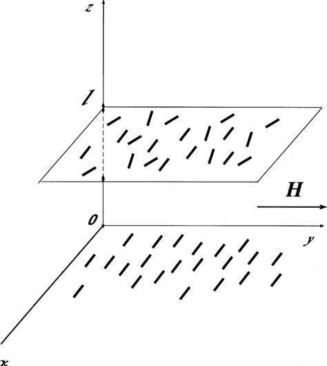 Schematic Representation Of The Nematic Cell Download Scientific Diagram