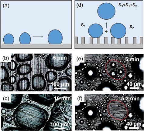 Demonstration Of Aquatic Locomotion For The Droplet Jumping A Download Scientific Diagram