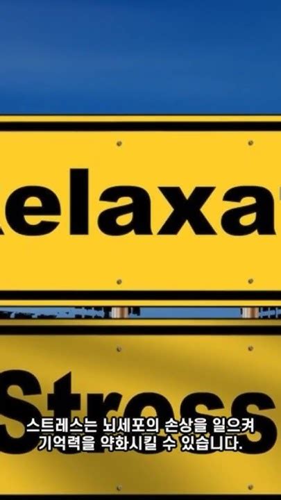 기억력을 높이는 3가지 방법 기억력 스트레스 Youtube