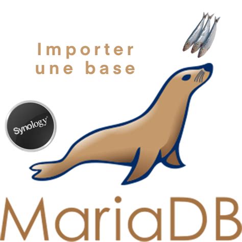 MySQL Server Has Gone Away ARADAFF
