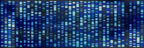 Genetic Chromosome Pattern With Dna Sequence Map On Background X And Y