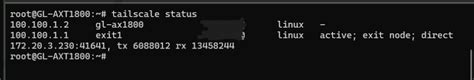 Tailscale No Internet After Enabling Custom Exit Node Vpn Dns