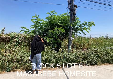 Lot 8 Blk 5 Macabebe Homesite Subdivision Caduang Tete Macabebe Pampanga 2018 Is Available