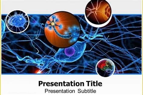 Free Neurology Powerpoint Templates Heritagechristiancollege