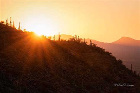 Saguaro National Park Sunset Ben R Cooper Photography