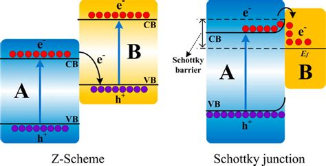 Schematic Diagram Of Charge Transfer For Z Scheme And Schottky Junction