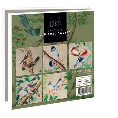 Kaartenmapje Met Env Vierkant Vogeltjeskamer Landhuis Oud