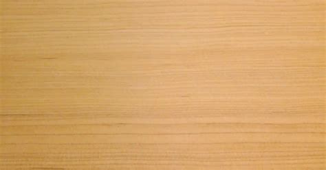 Hemlock Wood Types Of Hemlock Wood Uses Advantages And Disadvantages