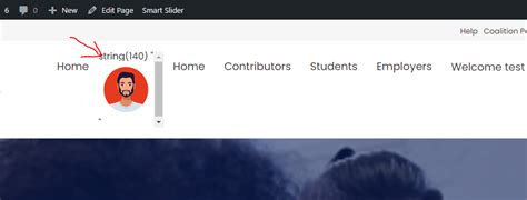 Hooks Displaying A Customized Avatar In Wp Bootstrap Navwalker Menus