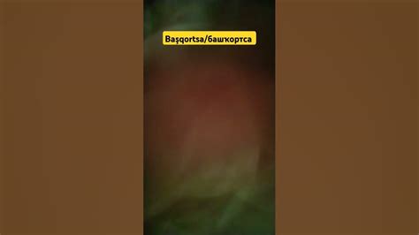 Bashkir Alphabet Song Youtube