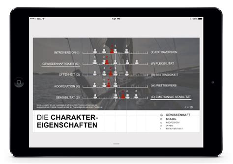 Lpp Teamanalyse Dandp Führungswerkstatt