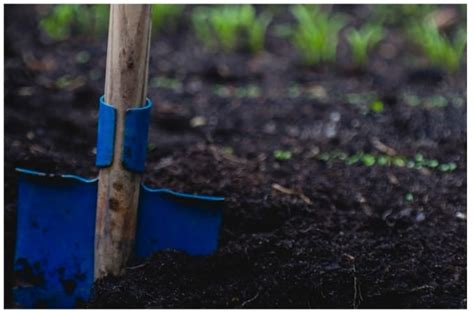 Composting For Beginners Reduce Waste And Improve Your Soil