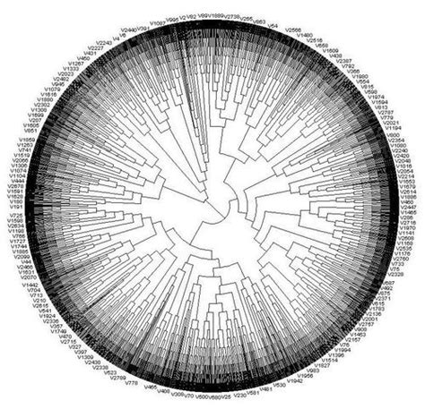Visualizing Hierarchical Cluster Models Artofit