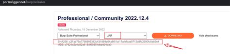 burpsuite pro 2022 12 4 破解版下载 cracked 🔰雨苁ℒ🔰