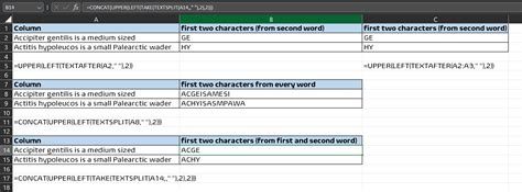 How To Extract First Two Characters Of Second Word From A Column In Excel Stack Overflow