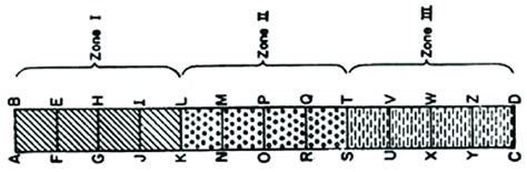 Random Block Design Along Belt Transect Used To Demarcate Plots In All