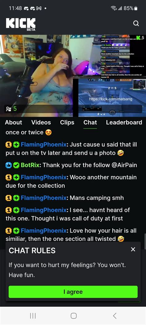 botrix bot working for kick but not for twitch r kickstreaming