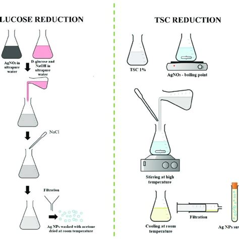 Chemical Synthesis Of Ag Nps Using Two Different Procedures Download Scientific Diagram