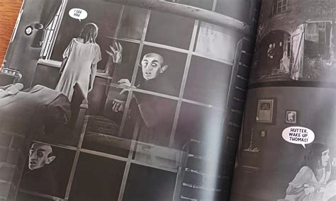 Nosferatu Horror Graphic Novel Etsy