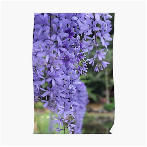 Cascade Poster For Sale By Ljdewet Redbubble