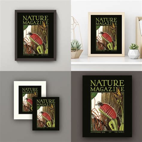 Venus Flytrap Print Vintage Venus Flytrap Poster 4 Sizes Etsy