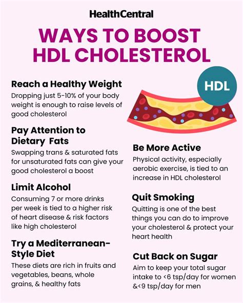 How To Increase Good Cholesterol Hdl Cholesterol Cholesterol Foods Cholesterol