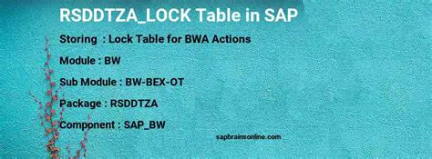 Rsddtzalock Sap Table For Lock Table For Bwa Actions